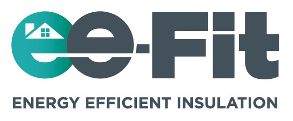 EEFIT Logo